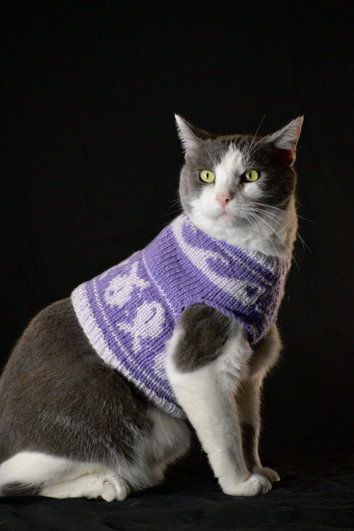 Super Cute Cat Sweater Knitting Pattern: Fish, Halloween, Holiday (PDF ...