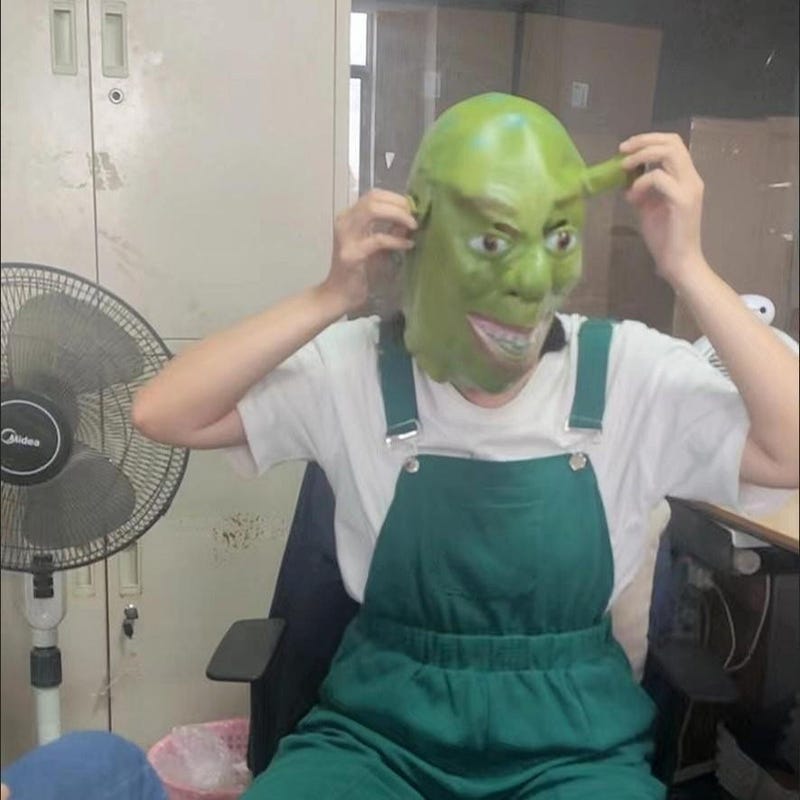 Doris From Shrek Costume - Etsy Canada