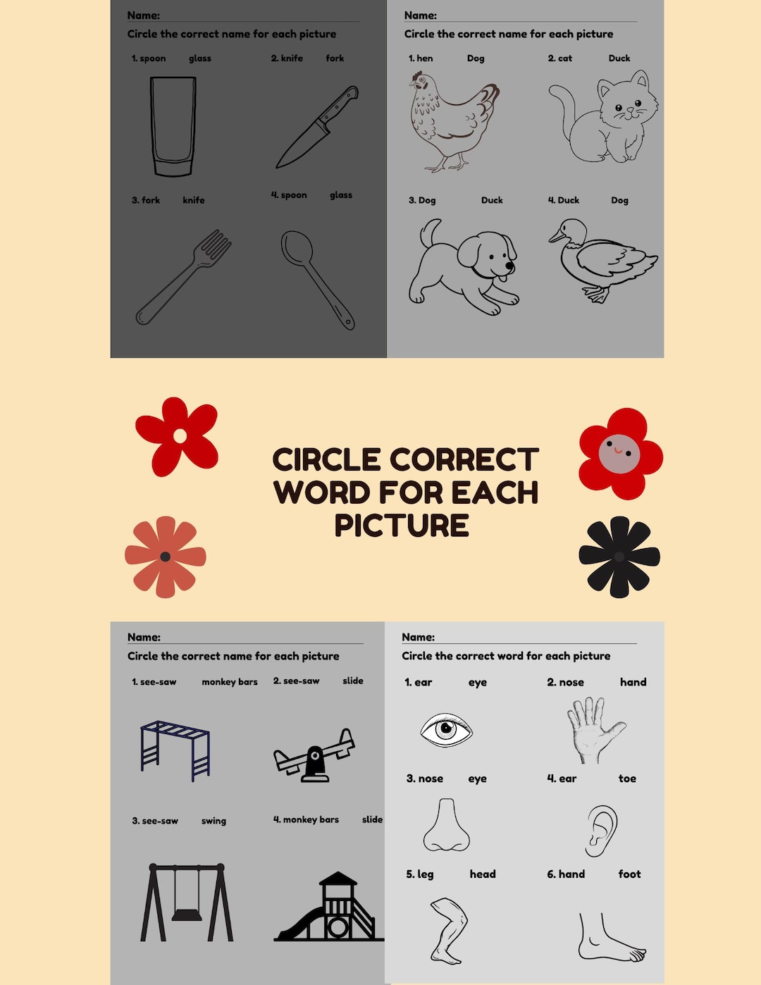 Circle the Correct Object Worksheet Preschool & Kindergarten Printable ...