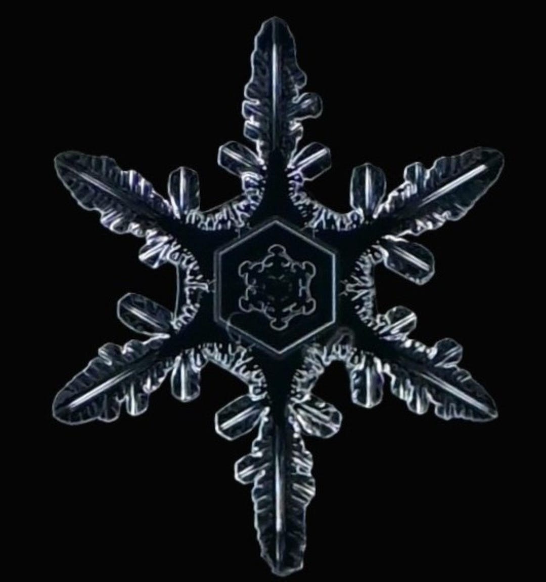 Macro Photography, Single Snowflake, Black-white, Print - Etsy