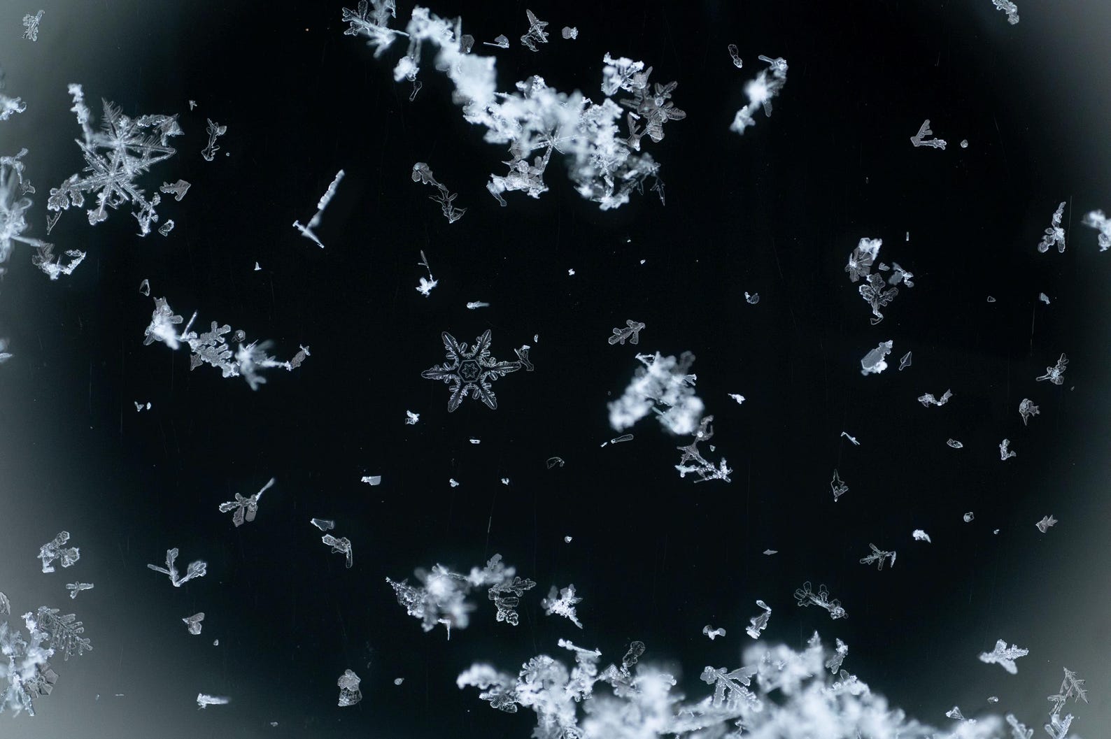 Macro Photography, Single Snowflake, Black-white, Print - Etsy