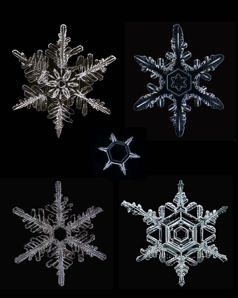 Macro Snowflake Photography - Winter Wall Art - Multiple Unique ...