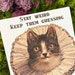 Stay Weird Keep Them Guessing Kitty Card - Funny Vintage Style Cat in ...