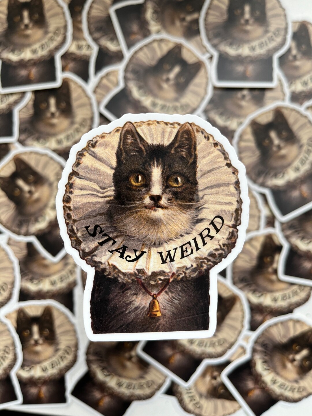 Funny Kitty Stickers - Stay Weird Cat Kitten in Vintage Ruffle Collar ...