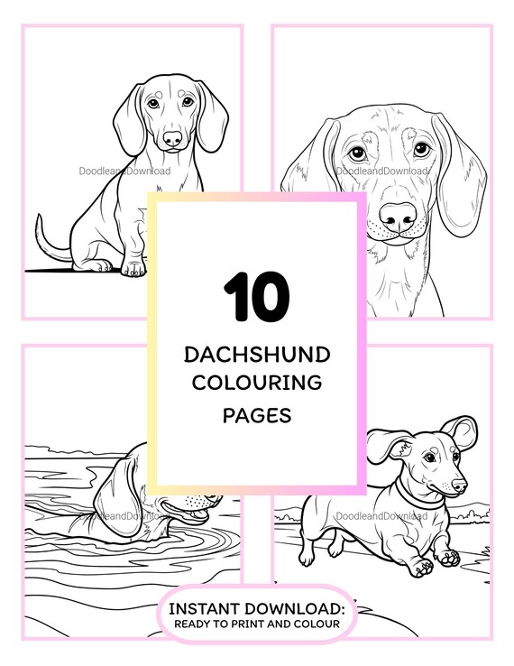 Dachshund Coloring Pages For Adults