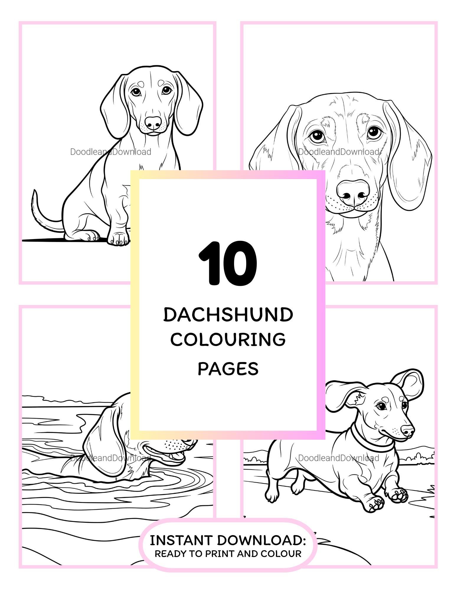Dachshund Dog Coloring Page Bundle - 10 Printable Pages, Instant ...