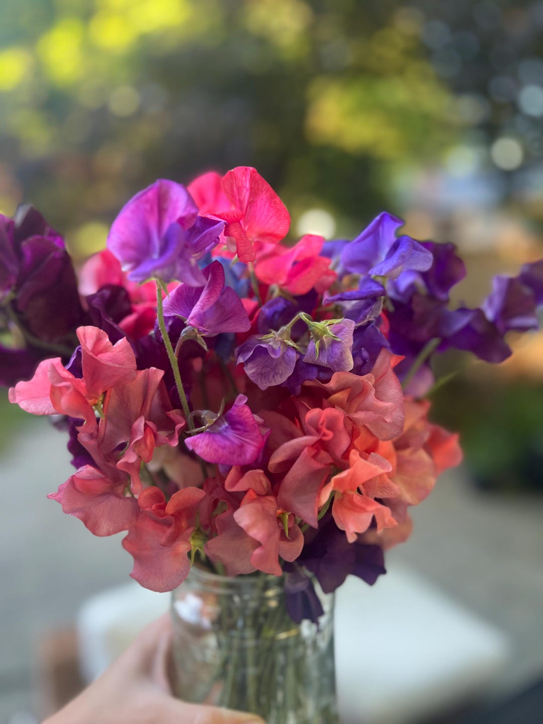 Sweet Pea Collection - Etsy