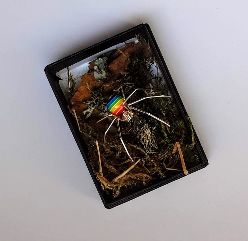 Small Rainbow Spider in a Box Gift - Etsy