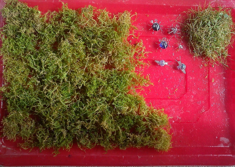 Small Snail in a Box Gift | Etsy