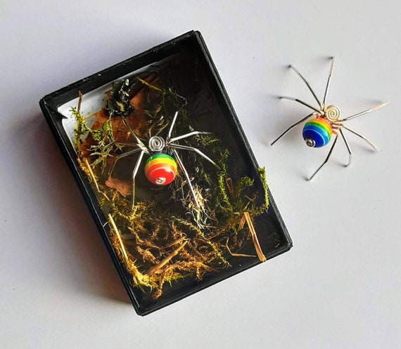 Small Rainbow Spider in a Box Gift - Etsy