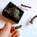 Small Stick Insect in a Box Gift - Etsy