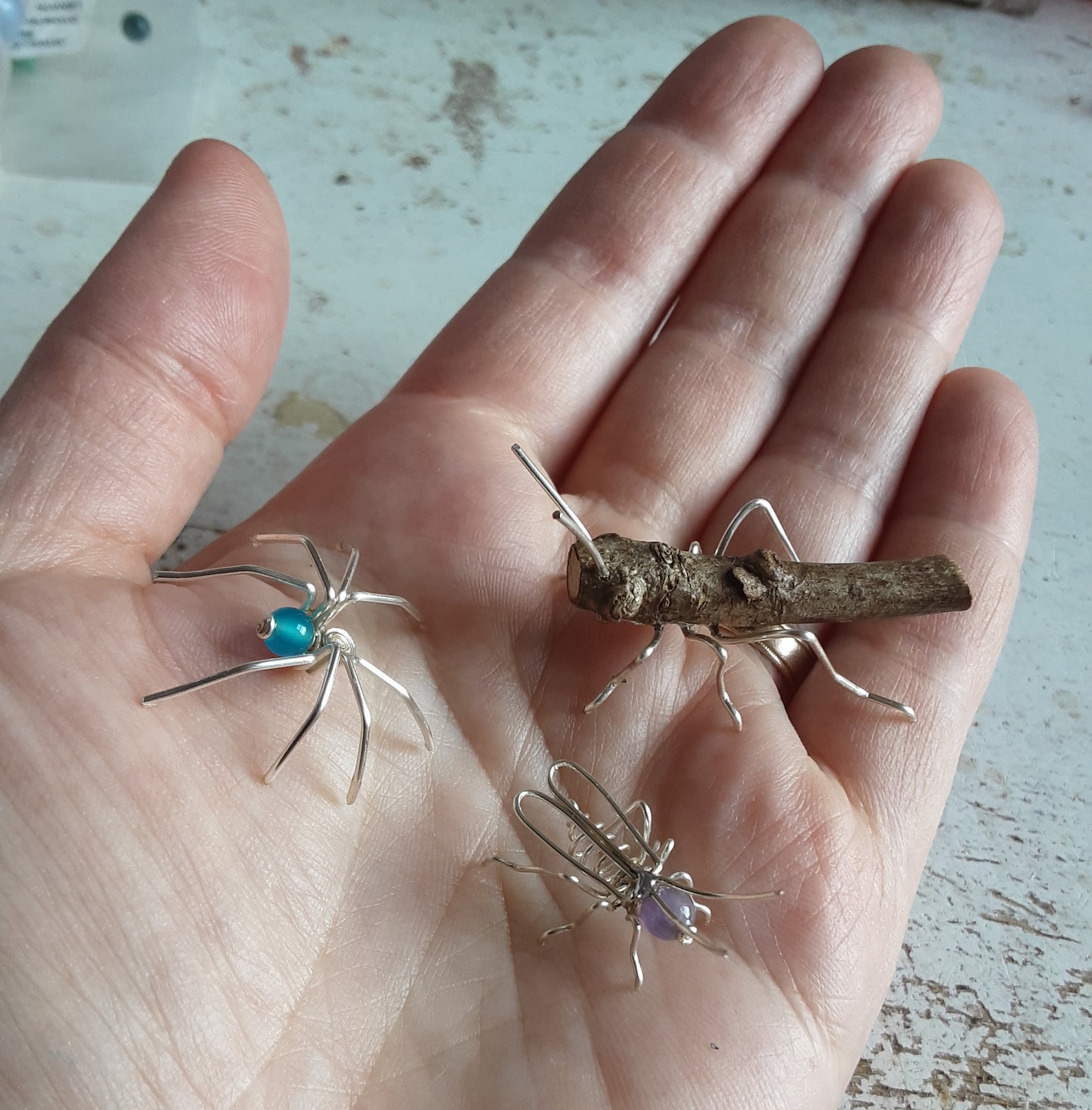 Small Stick Insect in a Box Gift - Etsy