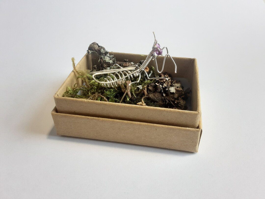 Tiny Preying Mantis in a Gift Box - Etsy