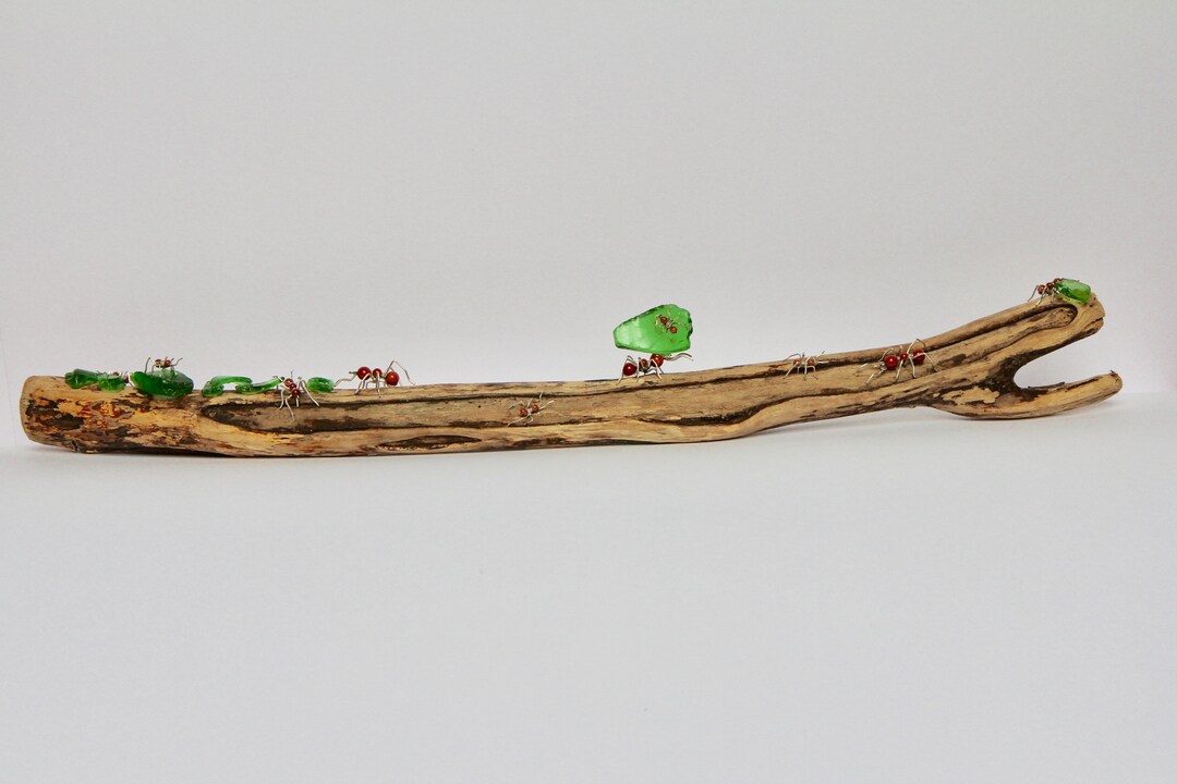 Extra Large Leaf Cutter Ants Sculpture for Mantlepiece or to Hang on ...