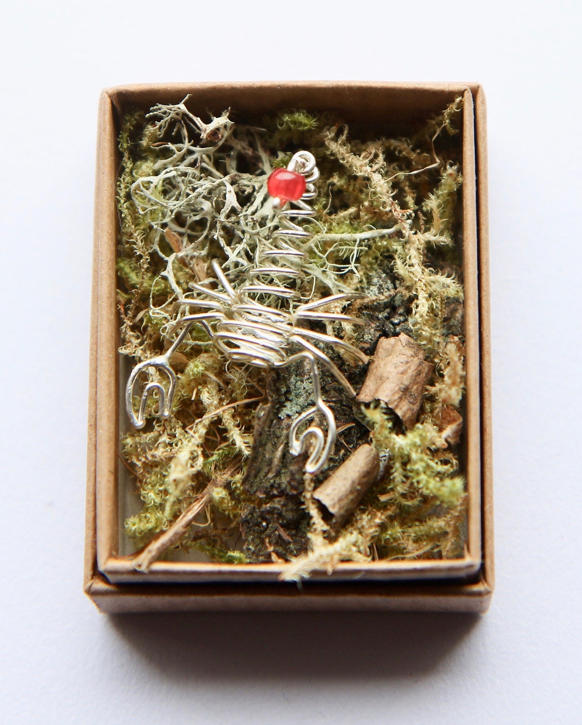 Tiny Scorpion in a Box Miniature Gift - Etsy