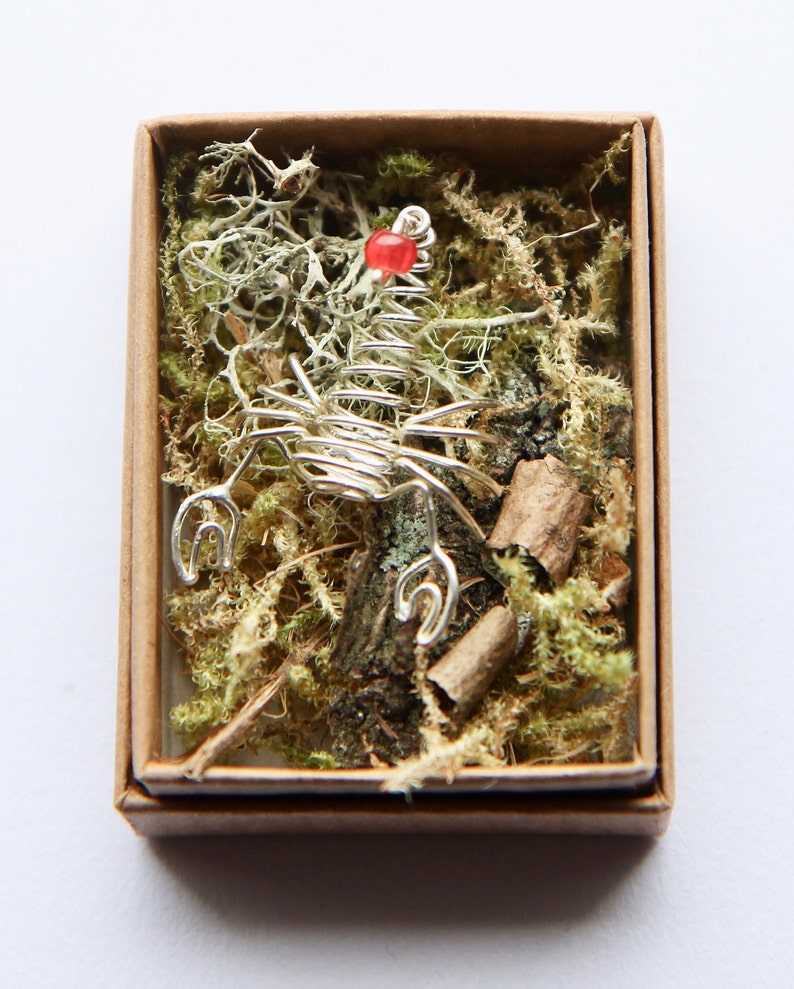 Tiny Scorpion in a Box Miniature Gift - Etsy