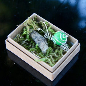 Small Snail in a Box Gift - Etsy