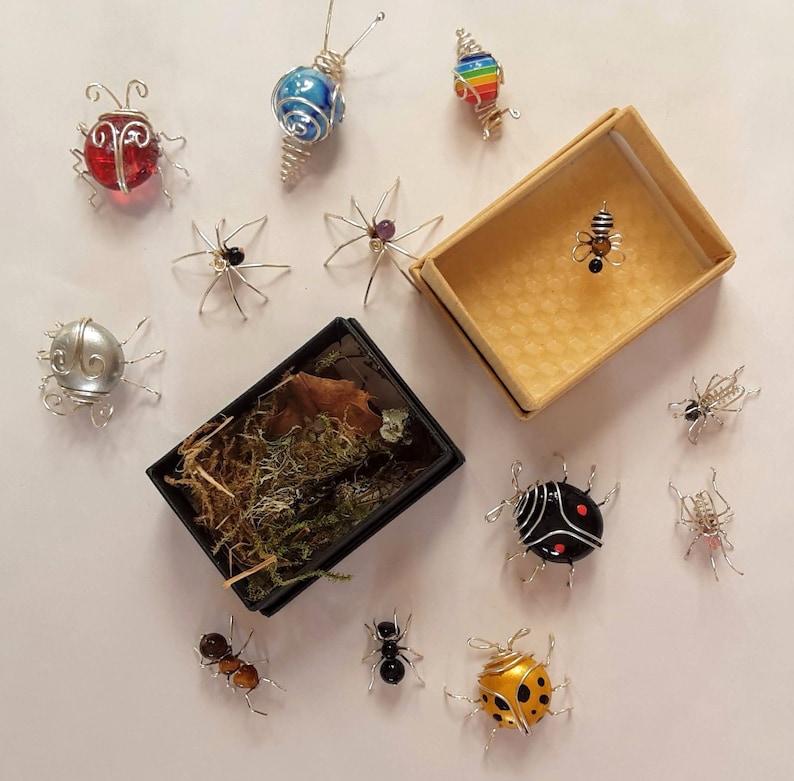 Small Stick Insect in a Box Gift - Etsy