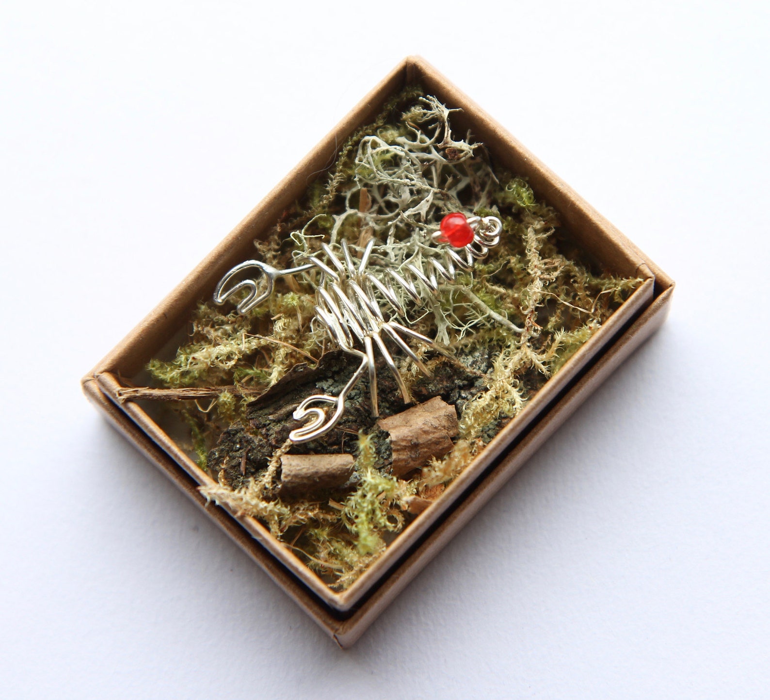 Tiny Scorpion in a Box Miniature Gift - Etsy