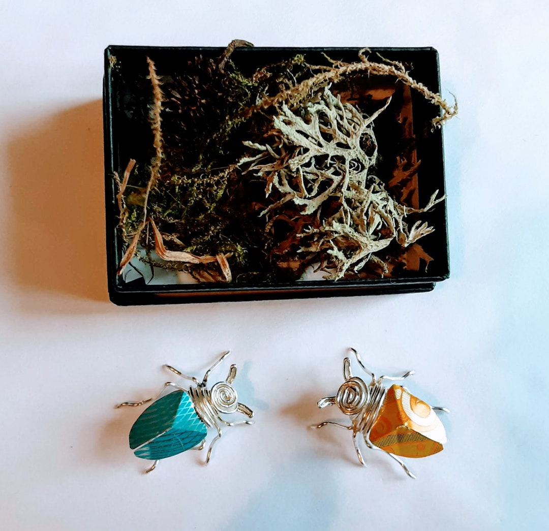 Shield Bug or Small Beetle in a Box Gift or Party Favour - Etsy