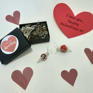 Small Snail in a Box Gift - Etsy