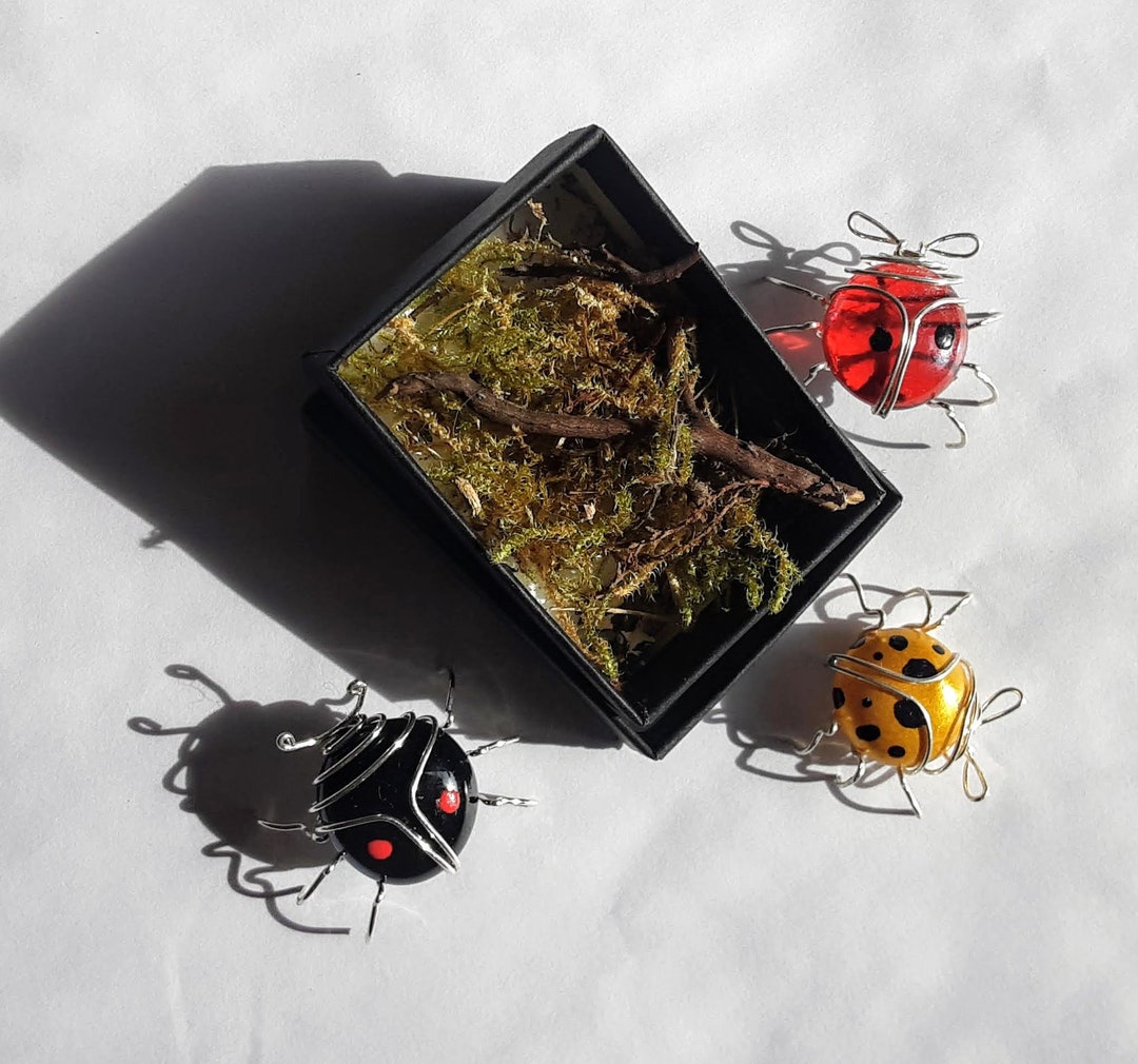 Ladybird in a Box Gift - Etsy