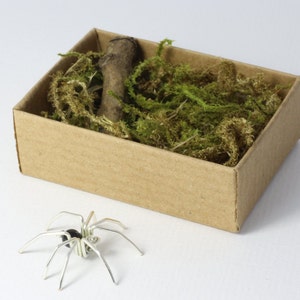 Tiny Spider in a Box Gift - Etsy