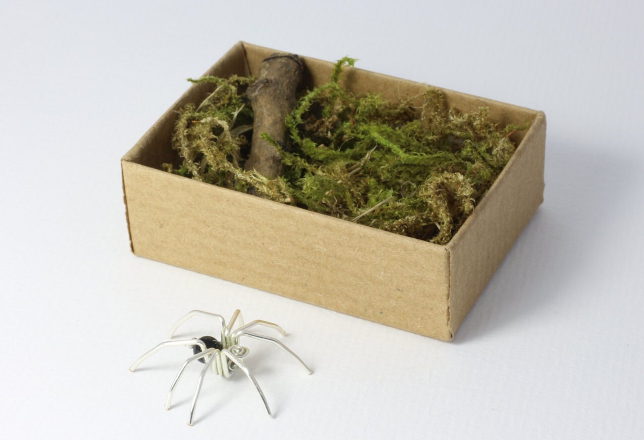 Tiny Spider in a Box Gift - Etsy UK