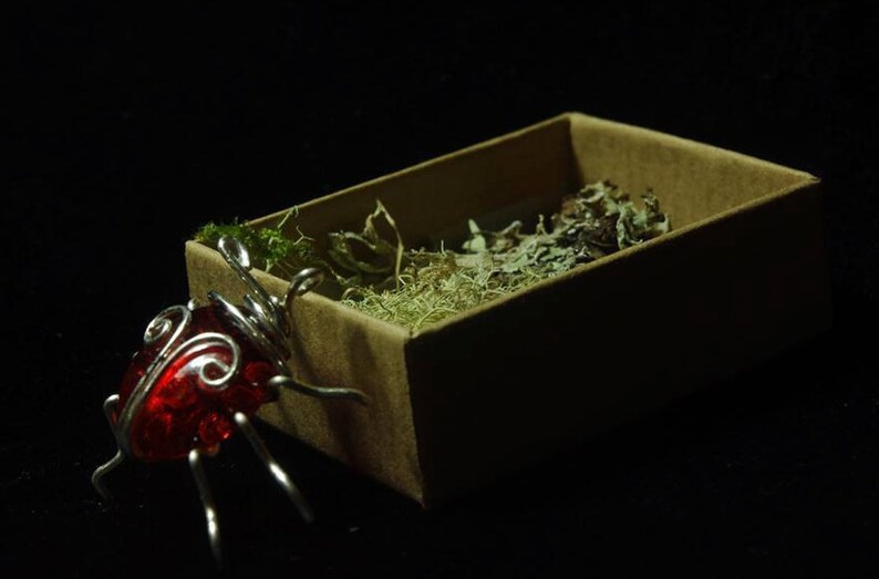 Beetle in a Box Gift - Etsy