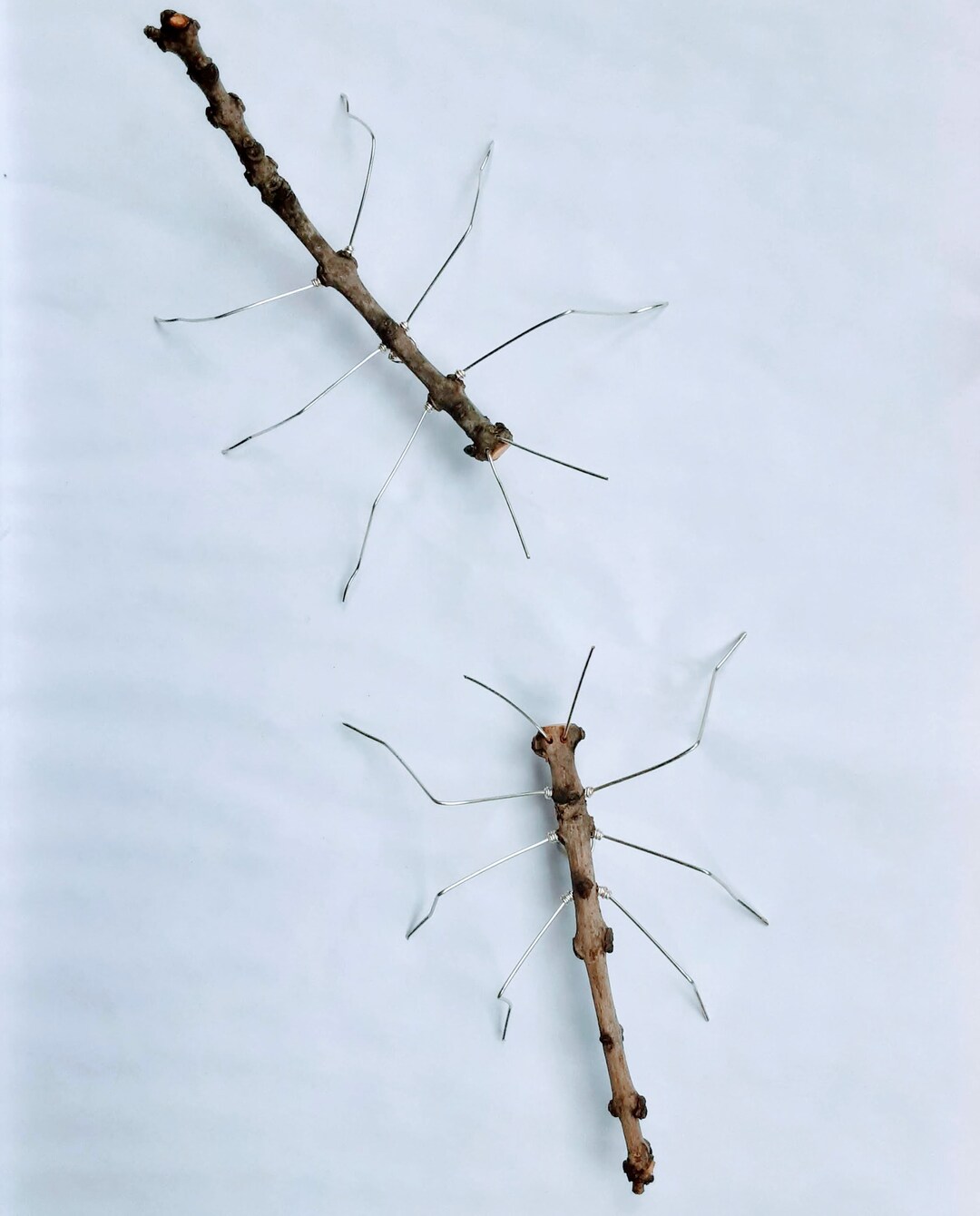 Stick Insect Wall Decoration - Etsy
