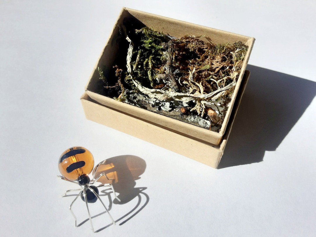 Honey Pot Ant in a Box Gift - Etsy
