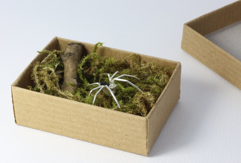 Tiny Spider in a box gift | Etsy
