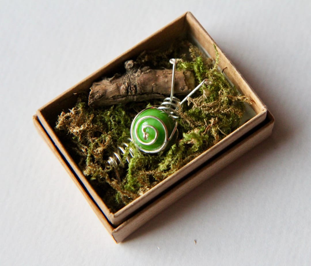 Small Snail in a Box Gift - Etsy