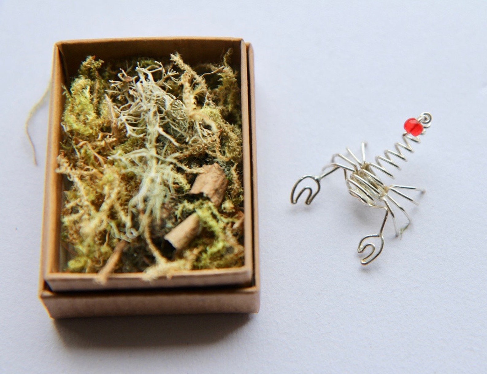 Tiny Scorpion in a Box Miniature Gift - Etsy