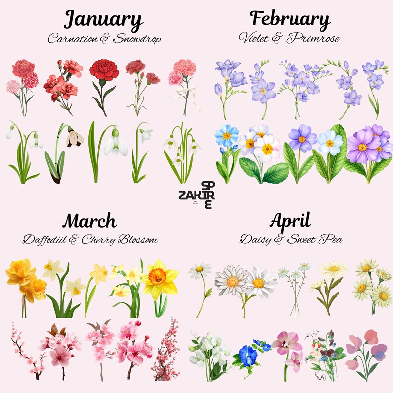 Birth Flower PNG Bundle — 120 Premium Birth Month Flowers SVG, Floral ...