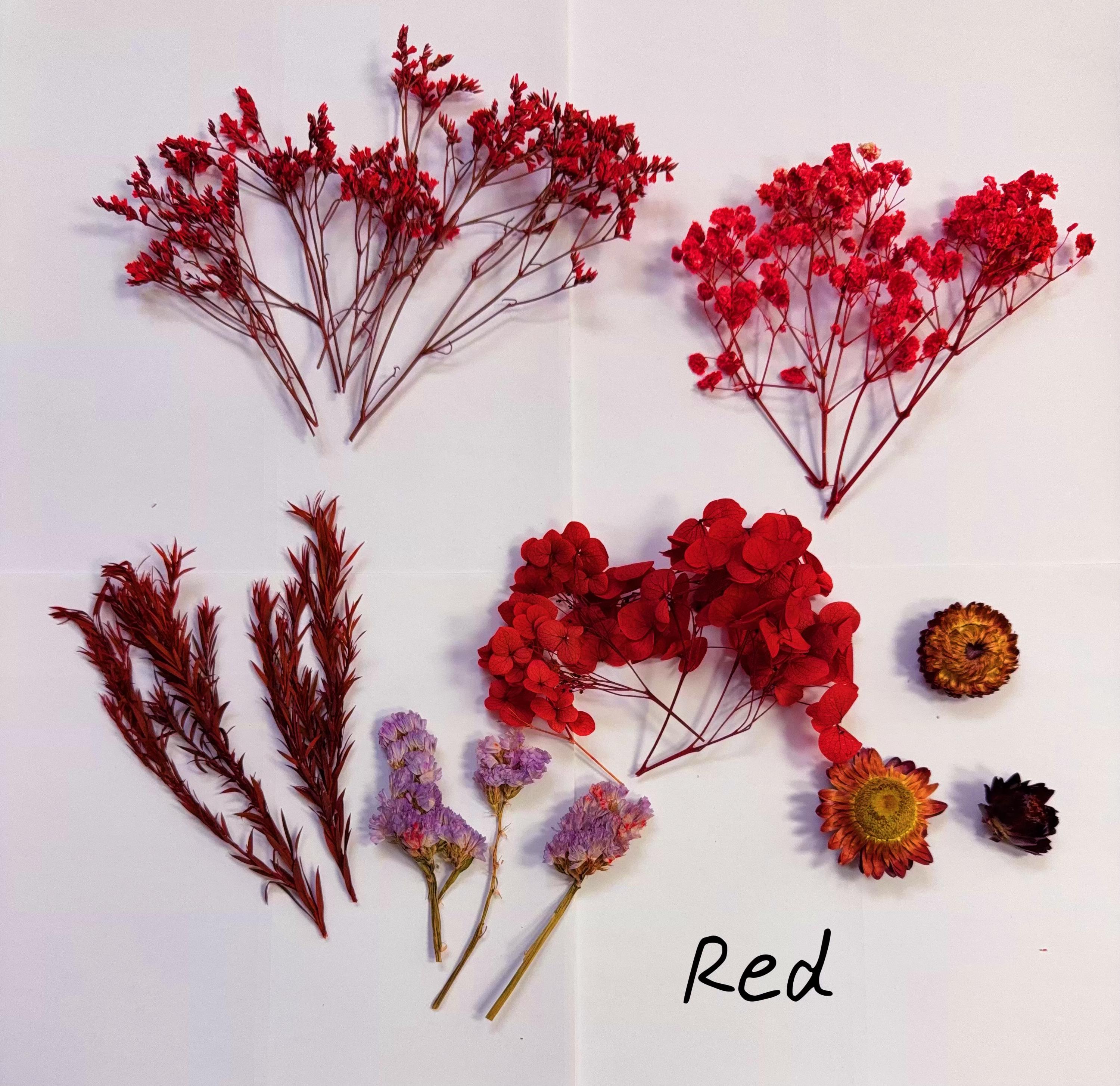 Dyed Pressed Real Flowers: Resin Jewelry, Scrapbooking & Candle Crafts ...