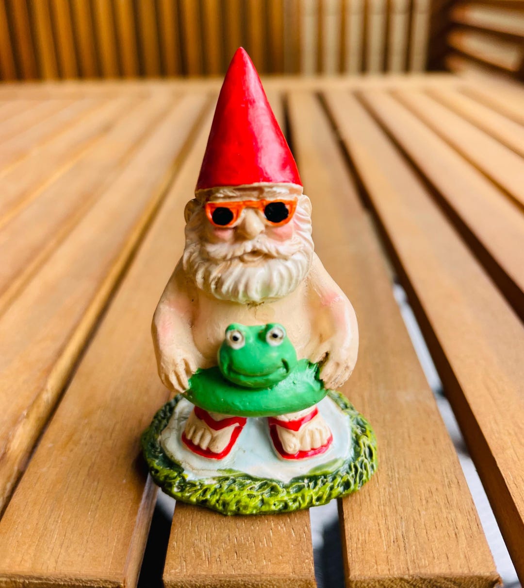 Miniature Swimming Gnome With Frog Float ~ Garden Gnomes ~ Miniatures ...