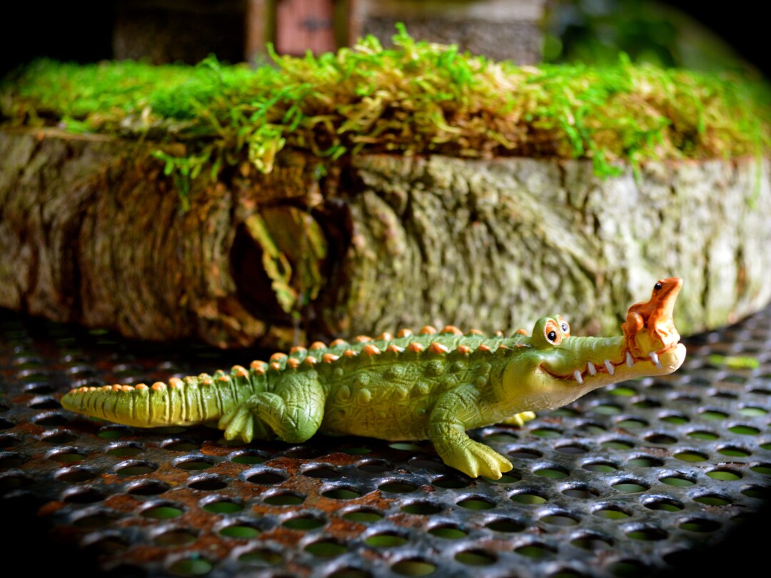 Miniature Alligator With Frog Figurine for Fairy Garden, Terrarium ...