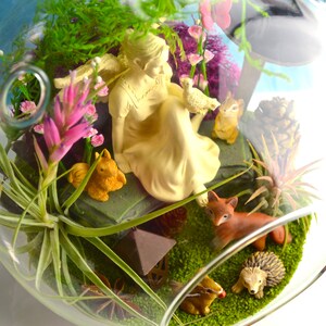 Memory Garden Terrarium Kit ~ 8" Air Plant Terrarium Kit ~ Angel ...