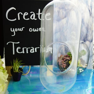 Large Bullet Terrarium ~ Hanging Glass Orb ~ Orb Only ~ DIY ...