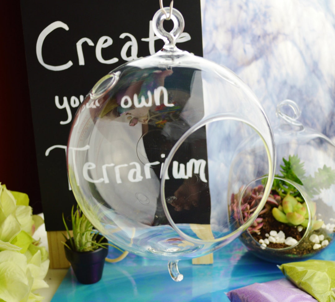 Hanging Globe Set ~ DIY ~ 2 Double Hook Glass Globe Hanging Terrariums ...