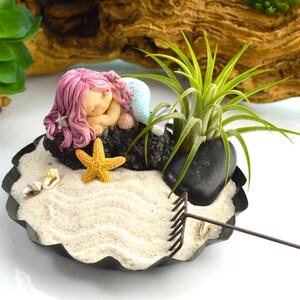 Mermaid Beach Therapy Sand Box Kit ~ Small Kit With Airplant ~ Home ...
