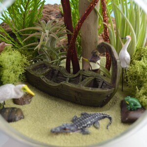 The Swamp Terrarium Kit ~7" Air Plant Terrarium Kit ~ Everglades ...