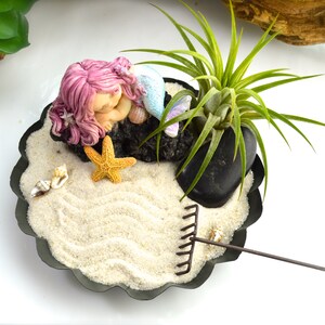 Mermaid Beach Therapy Sand Box Kit ~ Small Kit With Airplant ~ Home ...