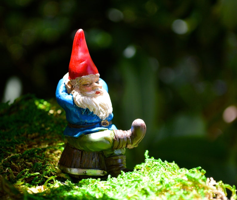 Miniature Gnome Napping with 2.5 Pick Garden Gnomes | Etsy