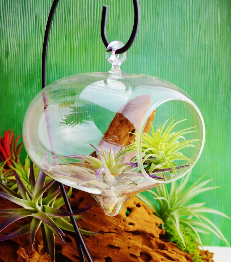 Black Metal Stand for Terrarium Orbs STAND ONLY 13 | Etsy