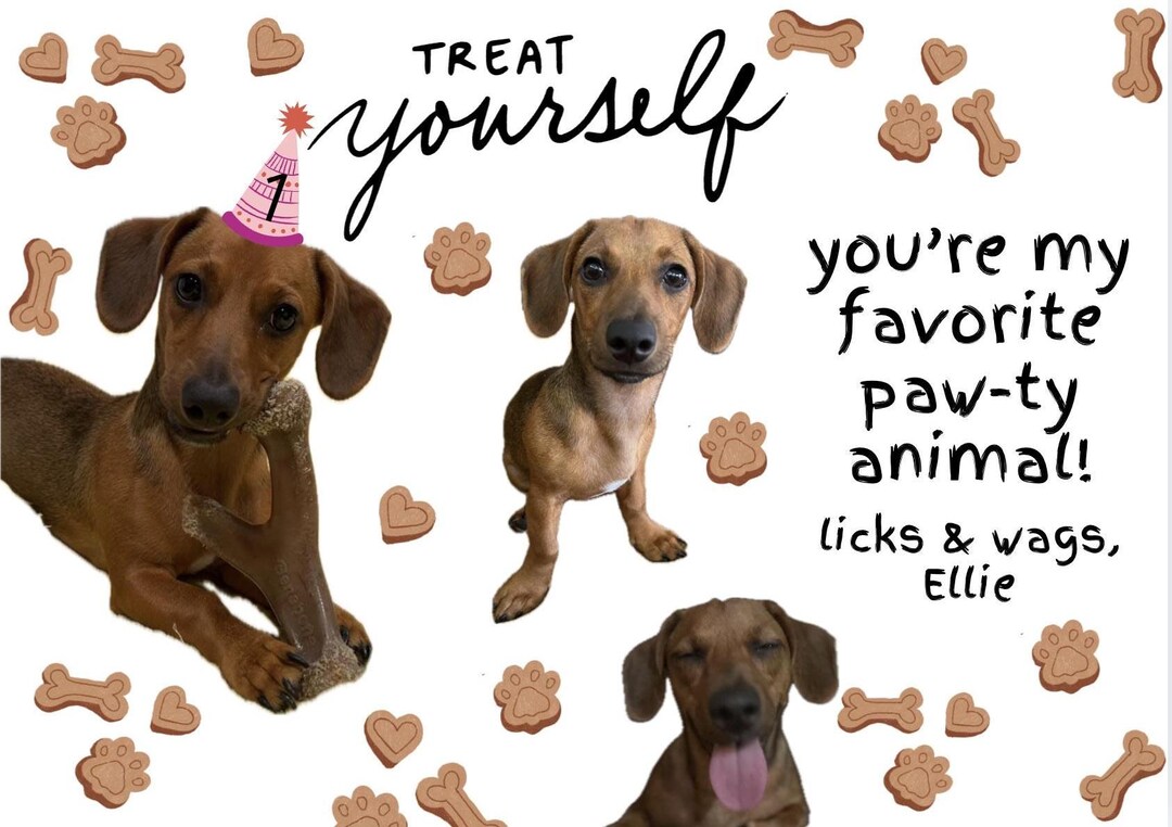 Editable Pet Birthday Party Poster & Gift Tags: Canva Template (digital ...