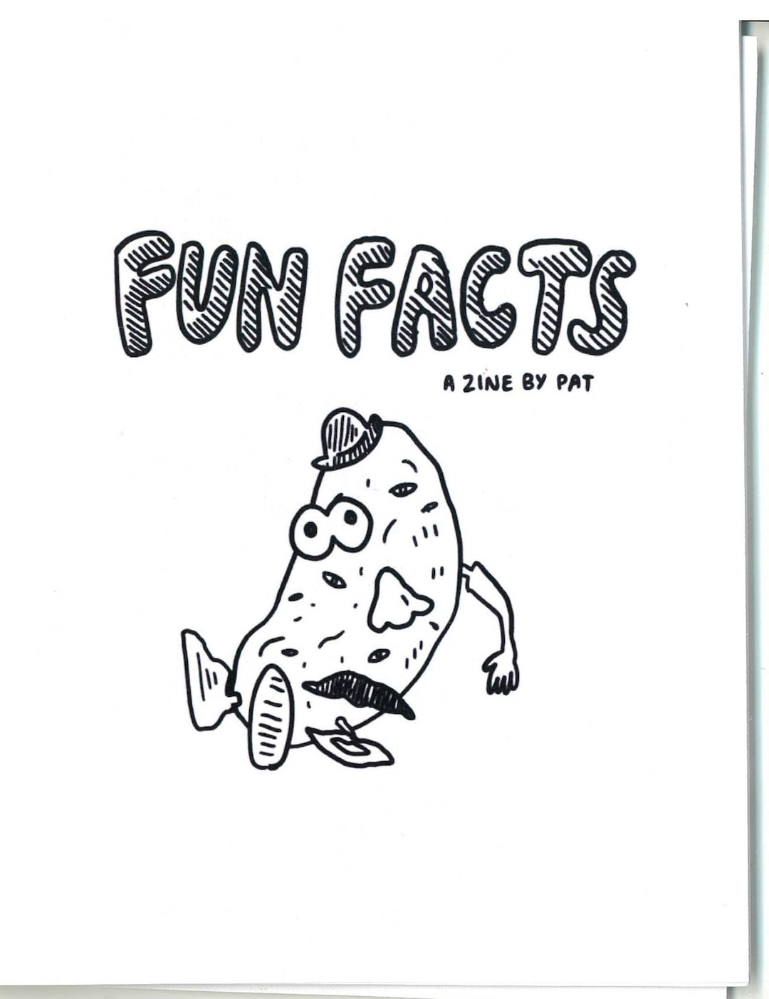 Fun Facts Zine: Educational Pocket Zine by Patricia Gao - Etsy