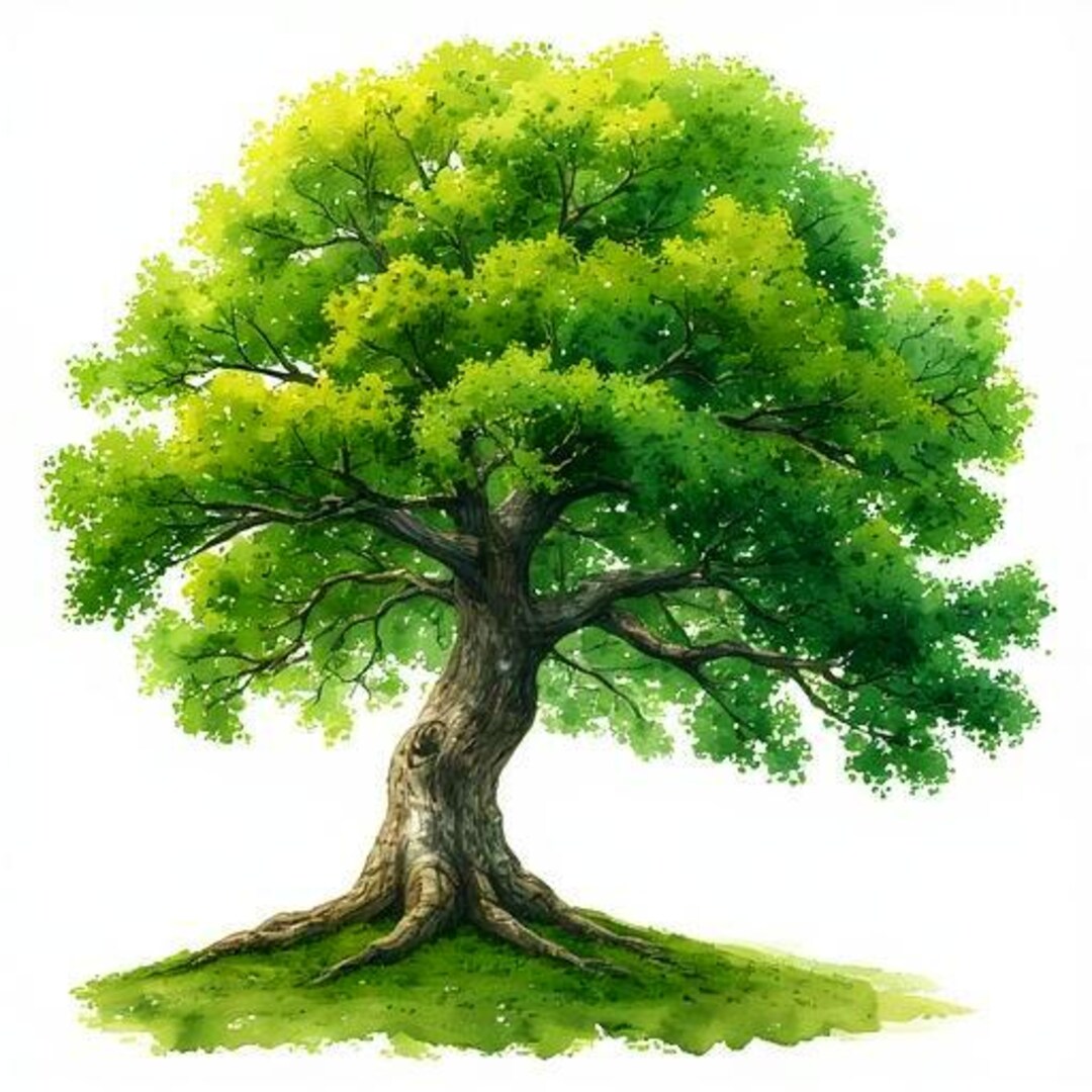 A Highly Detailed Watercolor Tree Clipart, Multiple Colours Tree ...