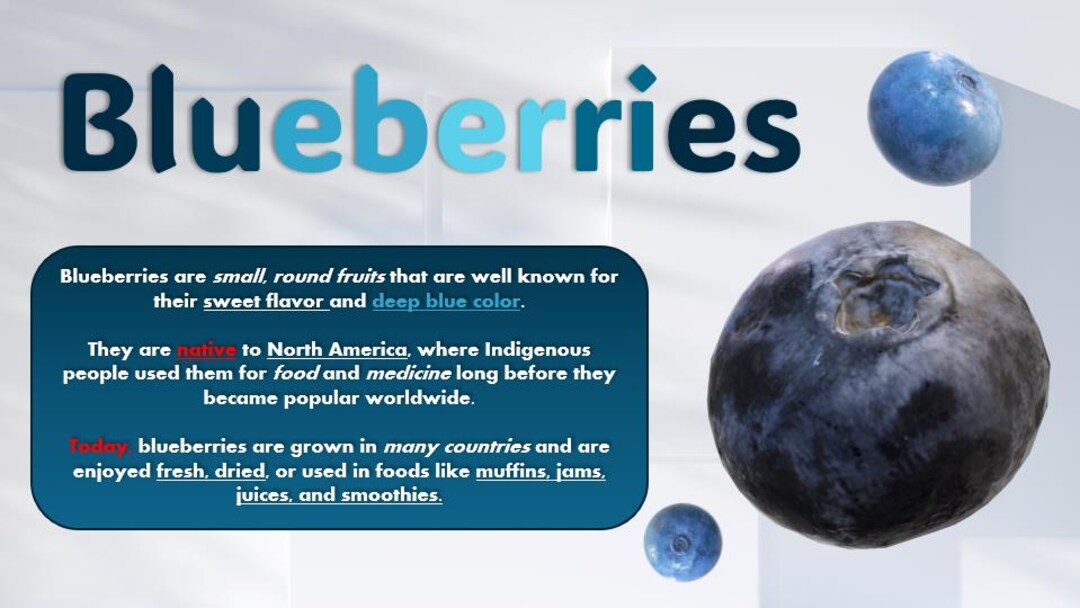Blueberry PPT Presentation Template - Etsy